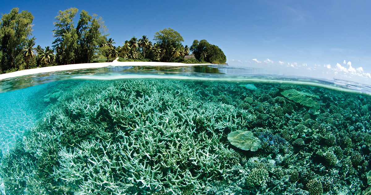 Climate Finance Report 2025 | Press Release | Henley & Partners